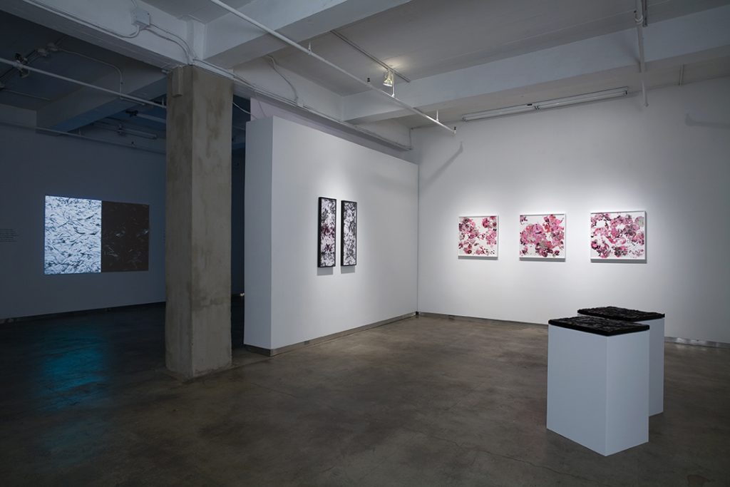 Process/Form, Casey Reas - bitforms gallery