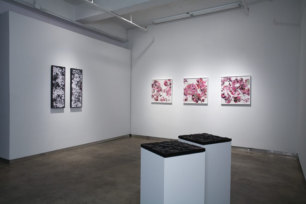 Casey Reas - bitforms gallery