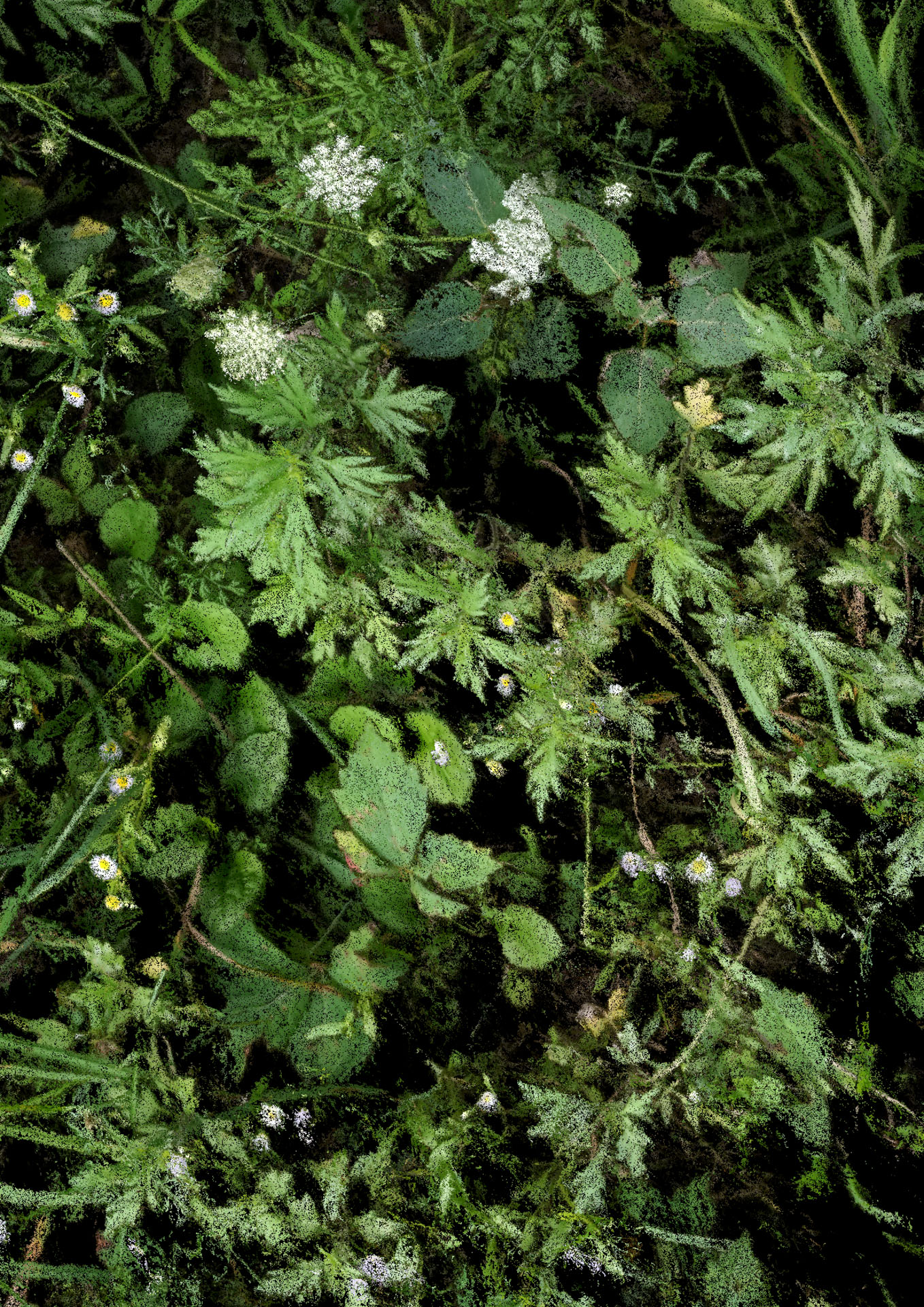 #53 Overgrowth by Clement Valla - bitforms gallery