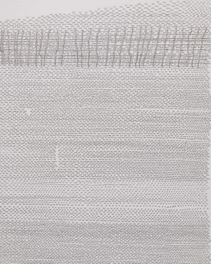 Warp & Weft 2 by Beryl Korot - bitforms gallery