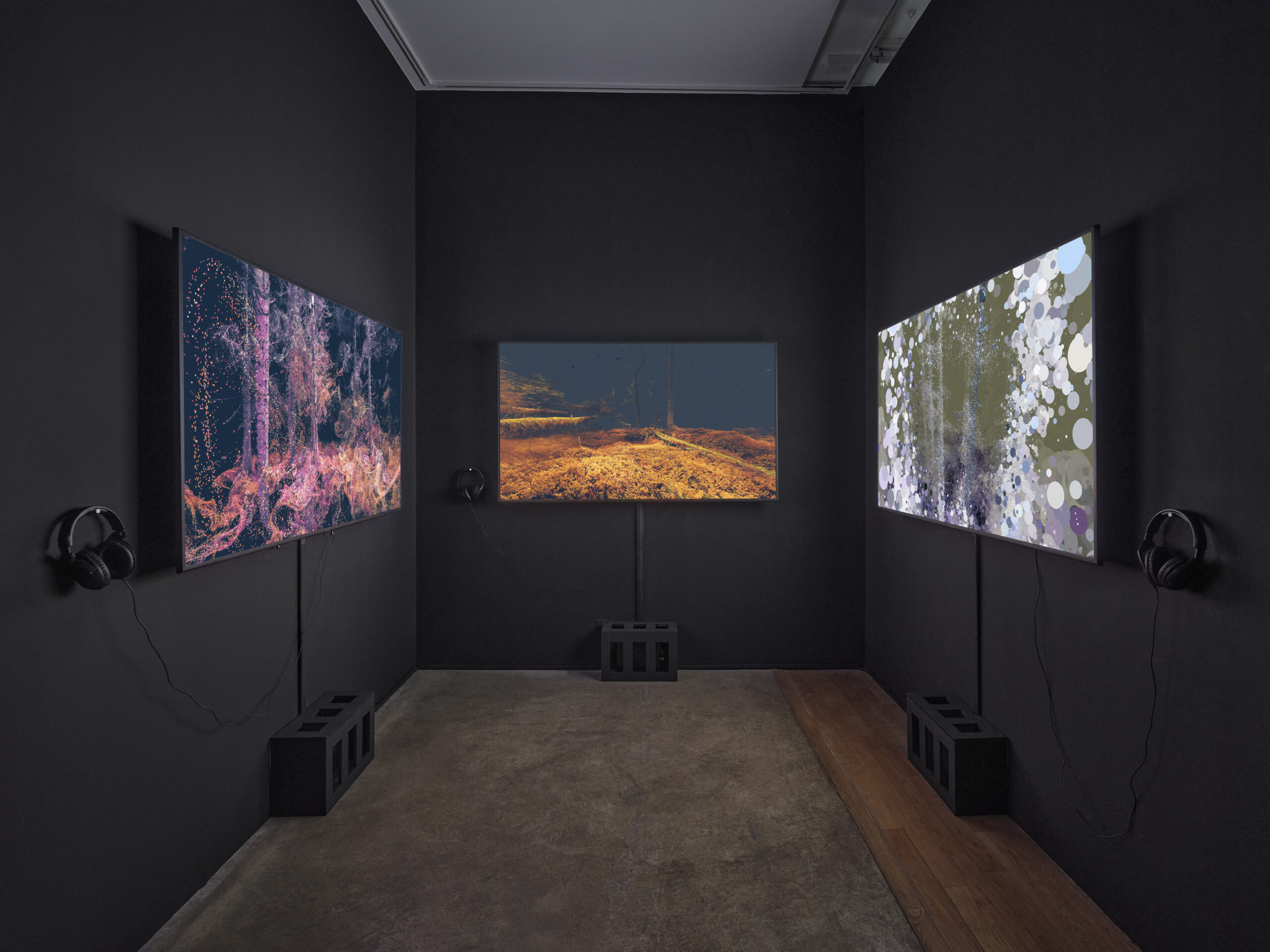 Entwined, Marshmallow Laser Feast - bitforms gallery