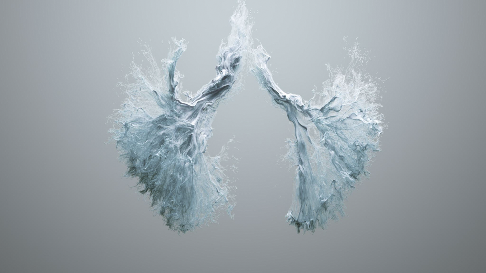 Breath Cycles by Marshmallow Laser Feast - bitforms gallery