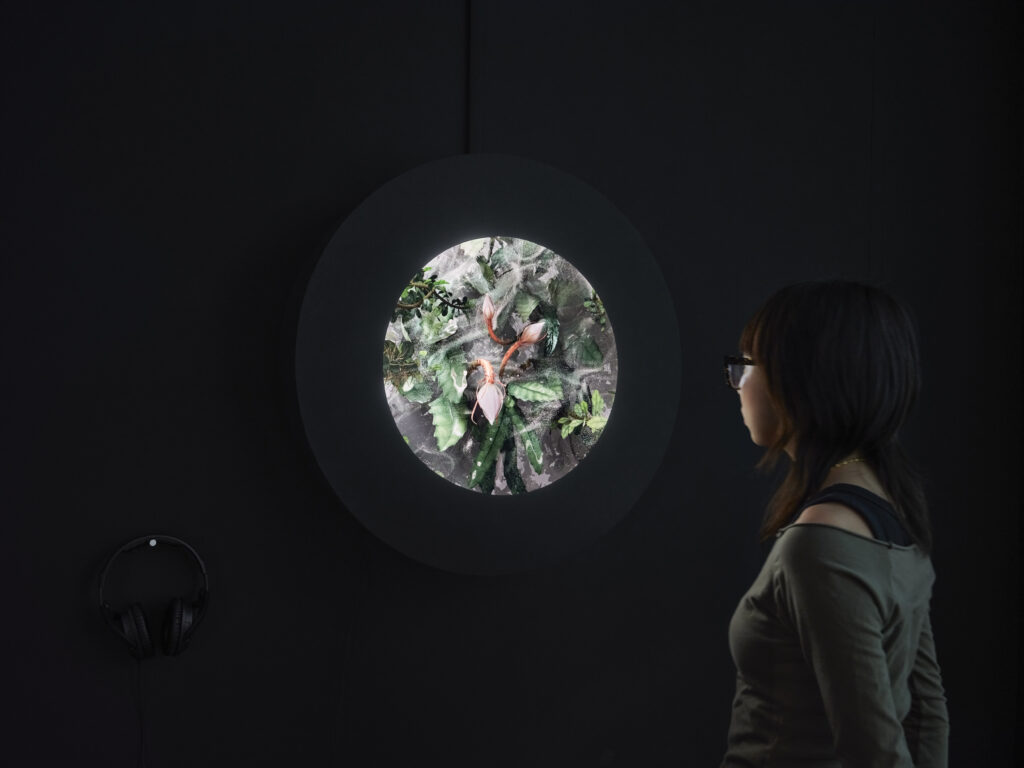 Home - bitforms gallery