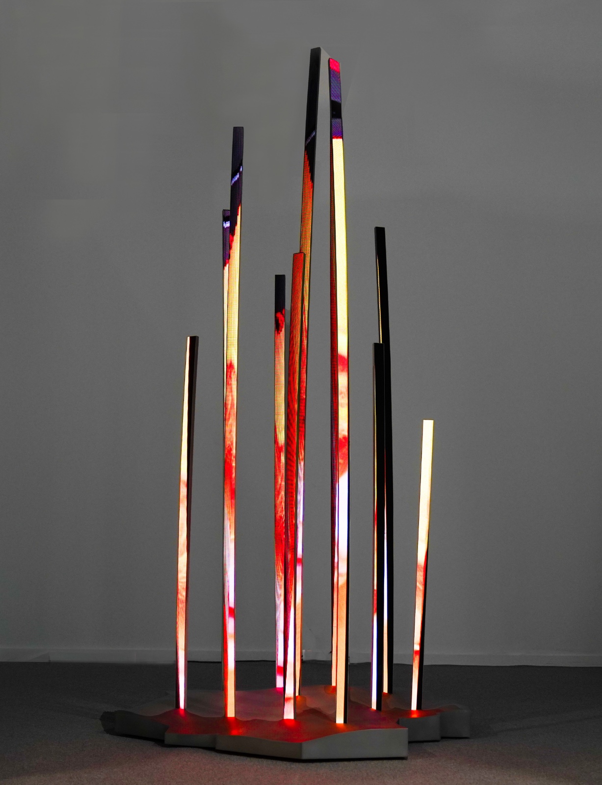 Grove by Daniel Canogar - bitforms gallery